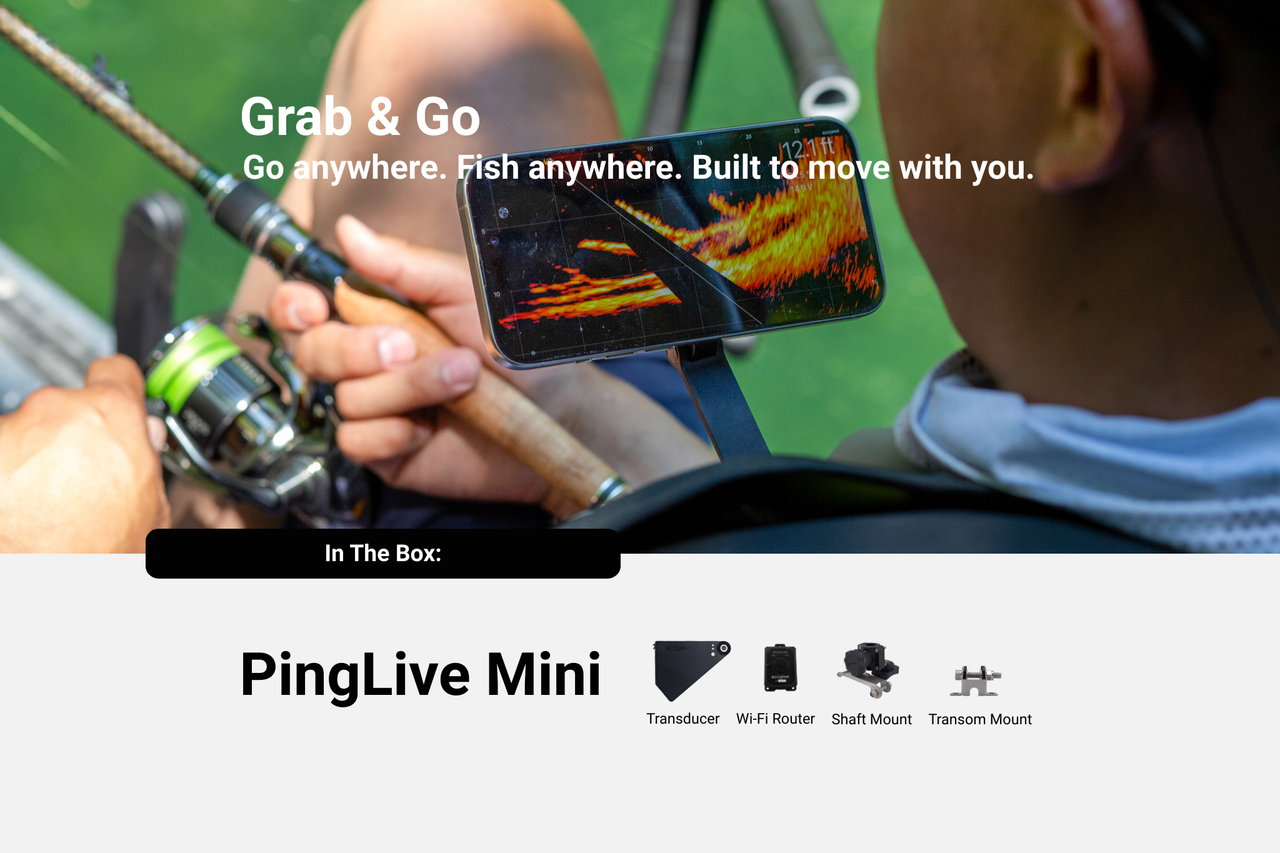 PingLive Mini – Accuphy